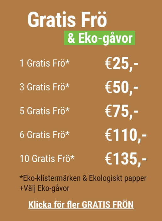 F1 Cannabis-hybridfrø - Royal Queen Seeds